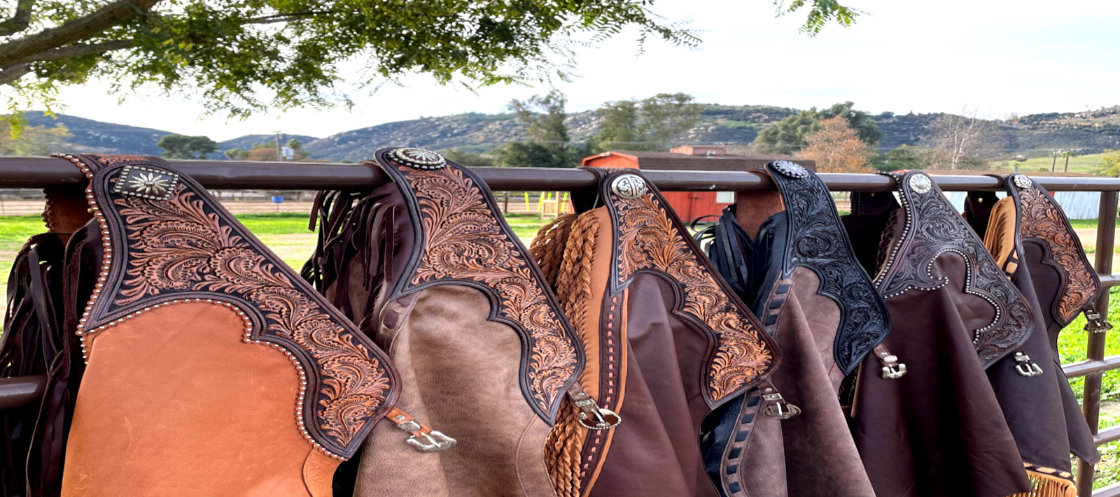 Chaps by Woods'